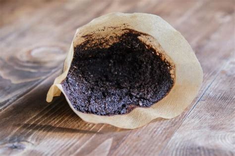 Interspecific Relationships Types And Examples Evidence Network