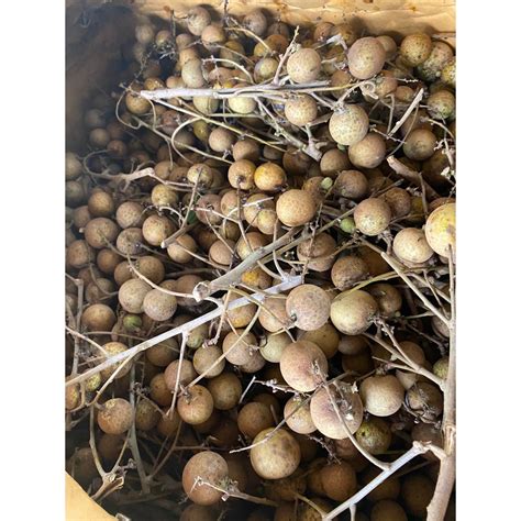 Jual Lengkeng Lokalbangkok 500gr Buah Lengkeng Lokalbangkok Bandung