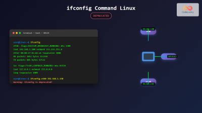 Dhclient Command Linux Complete Guide To Dynamic Host Configuration Protocol Client CodeLucky