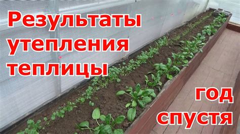 Утепленная теплица из поликарбоната за счет отсекания холода и ...