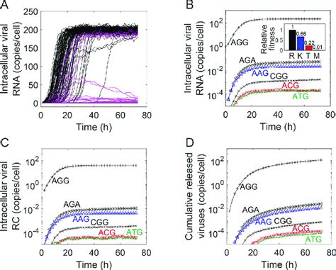 Intracellular Dynamics And Evolution A Time Evolution Of The