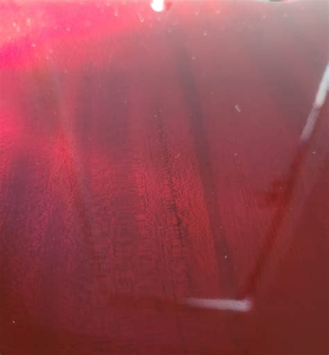 Help Identifying My Tokai Sg Model Tokai And Japanese Guitar Forum