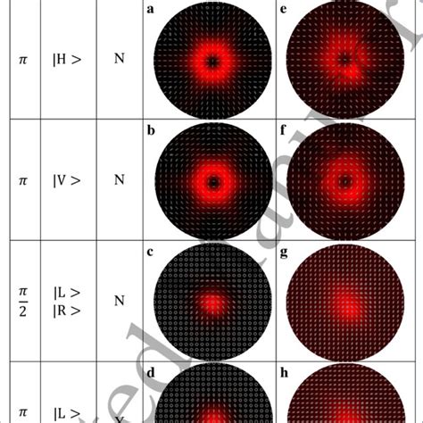 Far Field Polarization Patterns And Transverse Intensity Distribution
