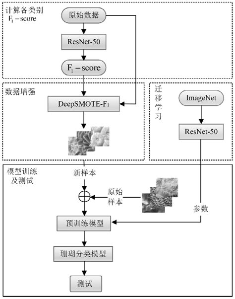 融合深度数据增强和迁移学习的珊瑚分类方法