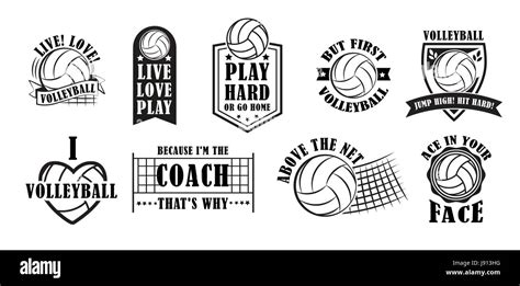 Volleyball Logo Set Vector Illustration Stock Vector Image And Art Alamy
