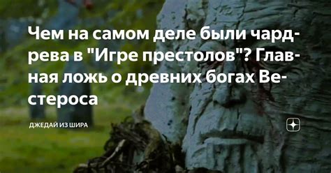 Чем на самом деле были чардрева в Игре престолов Главная ложь о древних богах Вестероса