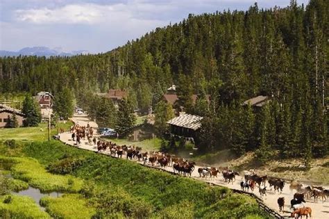 C Lazy U Ranch A Perfect Family Retreat