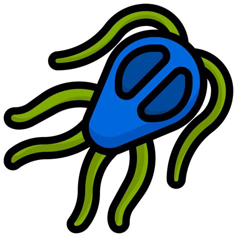 Phlébite Pelvienne Dr Learnycare