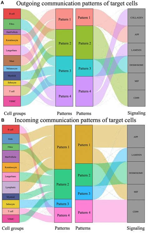 generating detailed intercellular communication patterns in psoriasis