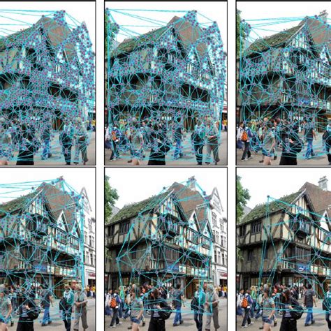 Multi Scale Delaunay Triangulation Built On The Common Interest Points
