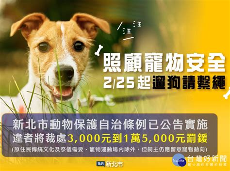 不負責任飼主遭檢舉 新北動保處開罰8萬6