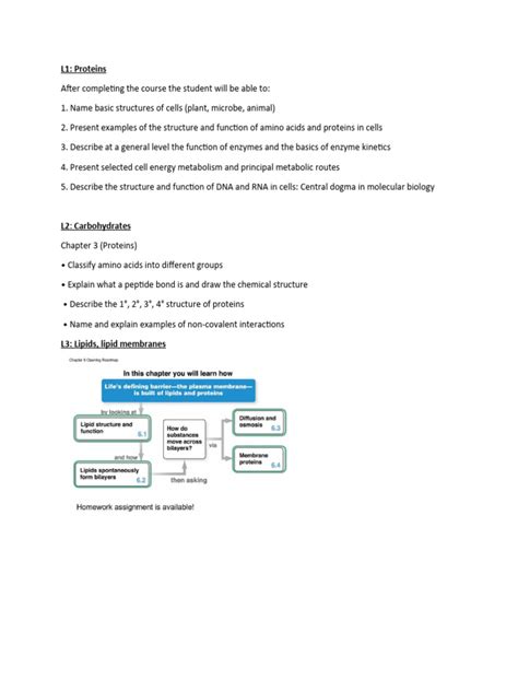 learning outcomes pdf