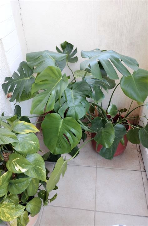 Dans Lappart De Priscillia Jai Eu Un Coup De Coeur Lorsque J