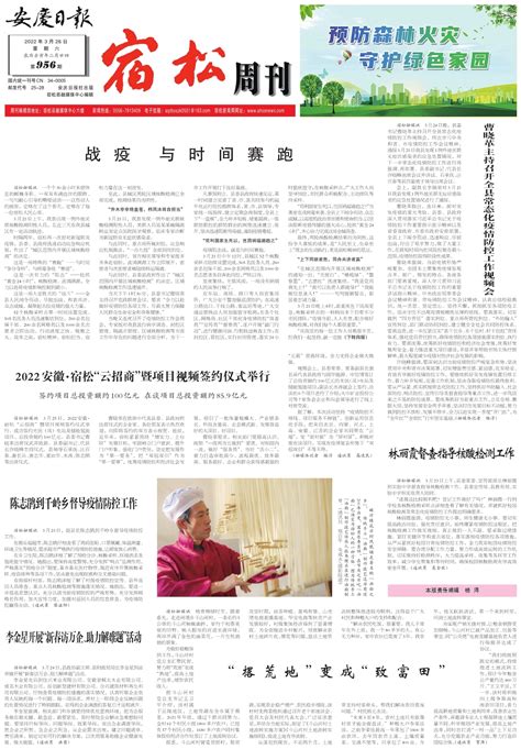 陈志鹃到千岭乡督导疫情防控工作 安庆日报·宿松周刊