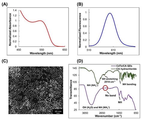 Sensors Special Issue Fluorescence Based Sensors