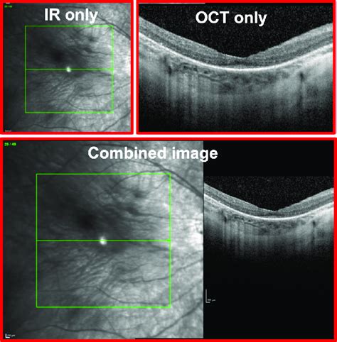Sample Images Used As Input Data During Neural Network Training And Download Scientific Diagram