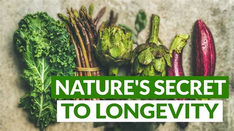 Phytonutrients Explained Benefits Food Sources Side Effects YouTube