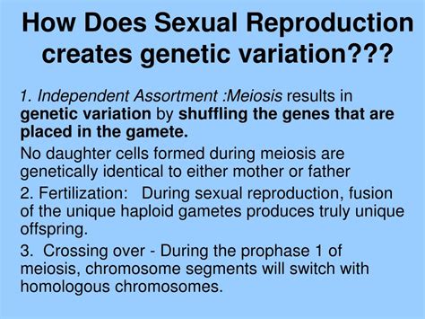 Ppt Meiosis And Sexual Reproduction Powerpoint Presentation Free