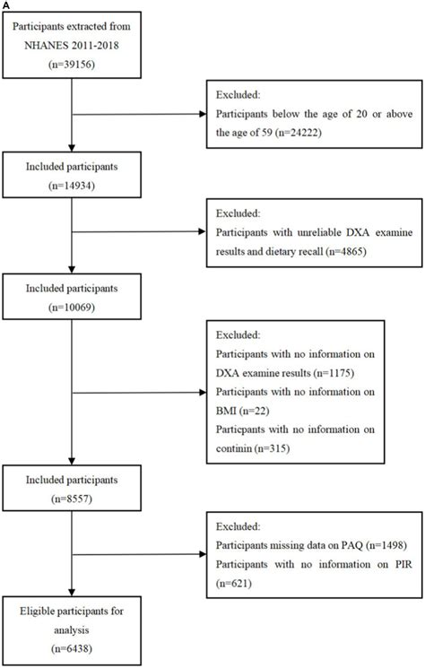 Association Between Oxidative Balance Score And Skeletal Muscle Mass And Strength Nhanes From