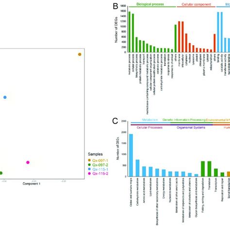 Pca Analysis Of Transcriptome Data And Gene Ontology Go Kyoto Download Scientific Diagram