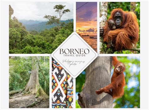 Borneo Travel Guide Jungles Orangutans And Wild Adventures Wonders Of
