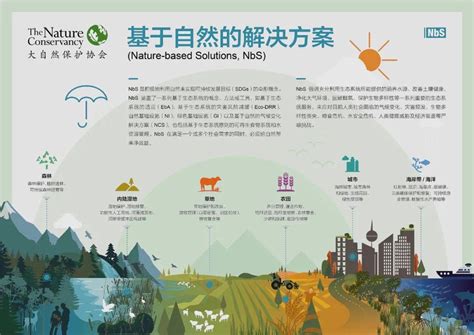 保护生物多样性丨《基于自然的解决方案：研究与实践》“深阅读” 知乎