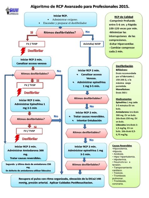 Algoritmos Rcp Avanzado Pdf Reanimación Cardiopulmonar Medicina Interna