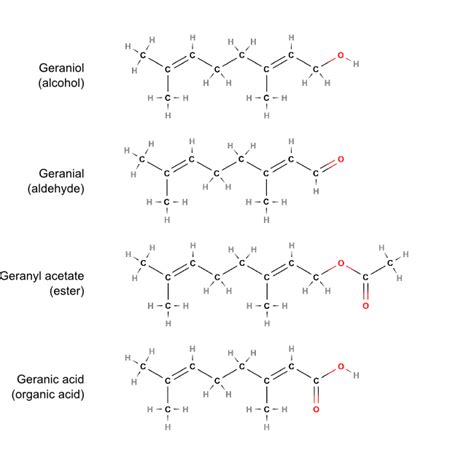 Chemistry Of Essential Oils Why The Functional Group Theory Is Wrong