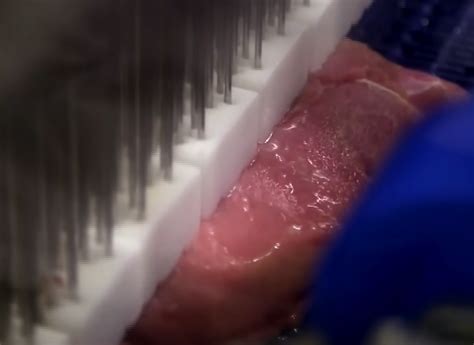Disgusting Practices Of The Meat Industry Why Is Liquid Injected Into The Meat Leakshare