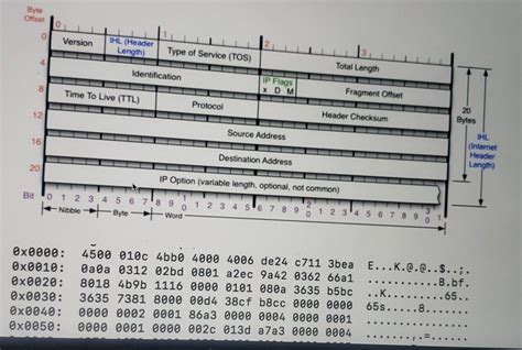 Solved Byte Offset O Version Ihl Header Length Type Of