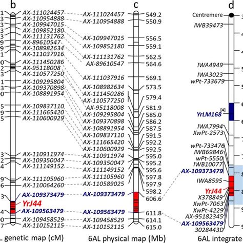 Graphical Display Of Chromosome Positions Of Quantitative Trait Loci Download Scientific