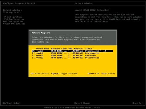 Network Adapters Grayed Out Esxi At Stephanie Fleming Blog