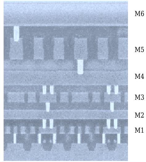 Process Cross Section