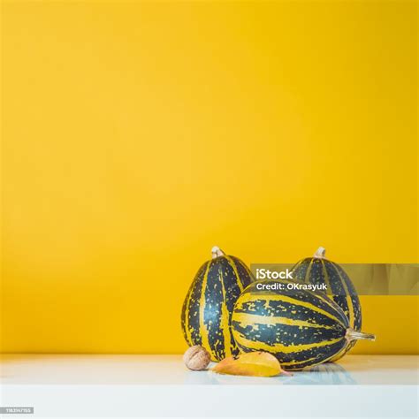 노란색 황토 벽 배경에 흰색 테이블에 세 장식 녹색 줄무늬 호박 잎과 너트의 구성 가을 자연 가정 인테리어 장식입니다 에코 심플한 스타일 정사각형 카드 공간을 복사합니다