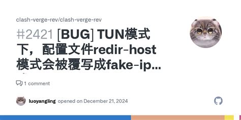 Bug Tun模式下，配置文件redir Host模式会被覆写成fake Ip模式 · Issue 2421 · Clash Verge