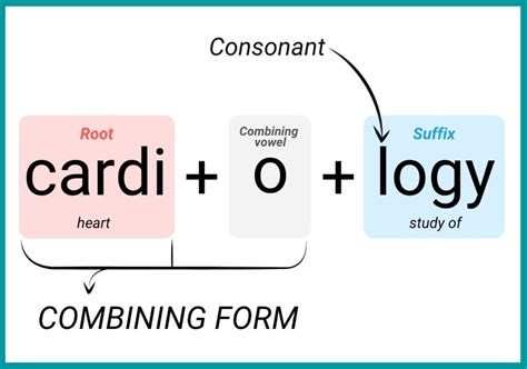 The Root Combining Form In The Medical Term Nasolacrimal Means Form