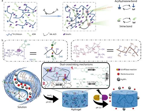 Construction Process And Structure Of Representative Ph Responsive