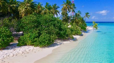 Vaavu Atoll Maldives Ultimate Guide January 2026