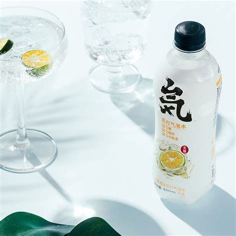元気森林 元气森林无糖气泡水苏打水元气水汽水饮料 卡曼橘味 480ml15瓶 整箱 广东梓曦有限公司