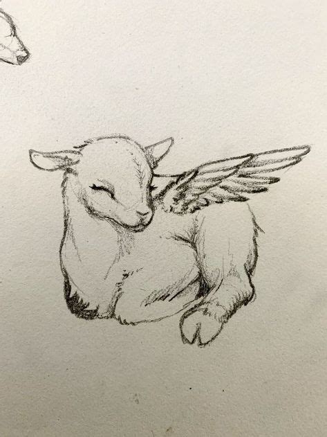 Lamb Drawing Ideas