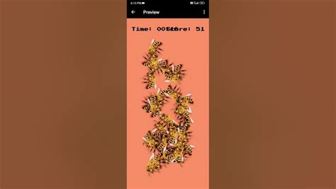 Catch The Insect Game Using Html Css Js Coding Programming
