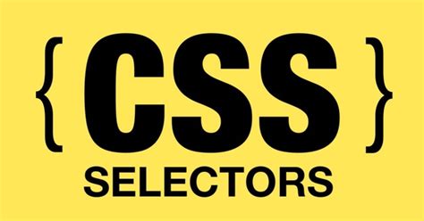 Tự Học Selector Css Là Gì Cho Người Mới Bắt đầu