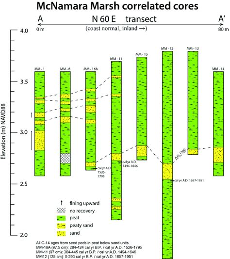 Stratigraphic Correlation Of Core Logs Along A Coast Normal Transect Download Scientific