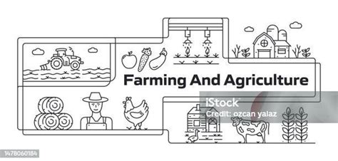 농업과 농업 아이콘이 있는 현대 라인 배너 농부 헛간 가축 트랙터 건초 더미 농지 계란 밀가루 낙농장에 대한 스톡 벡터 아트 및 기타 이미지 Istock