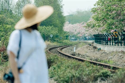 彰化旅遊資訊網