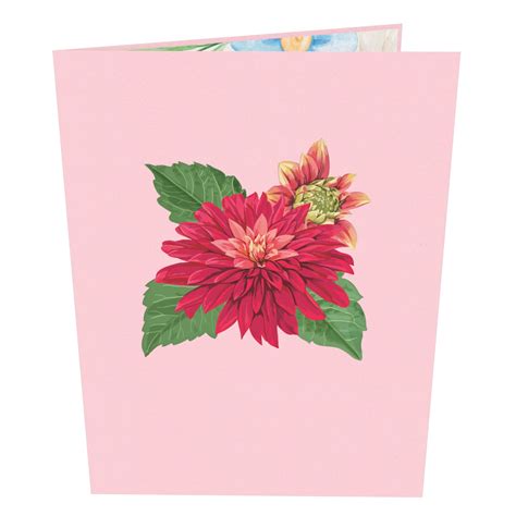 Spring Aster Flower 3d Pop Card Skypop Wholesale Manufacture