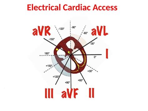 Lecture On Cardiac Axis On Ecg For Nurses Ppt