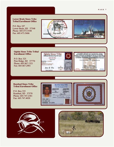 What Is Native American Tribal Document At Jamie Cartwright Blog