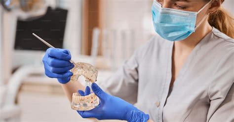 치과 진료소에서 일하는 동안 턱의 모델에 치아 유형을 보여주는 전문 여성 치과 의사 사진 Unsplash의 종업원 이미지