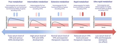 Ethnic Aspects Of Valproic Acid P Oxidation